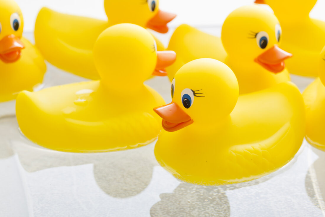 Disability Rights Ohio looking to make a splash with Duck Derby ...